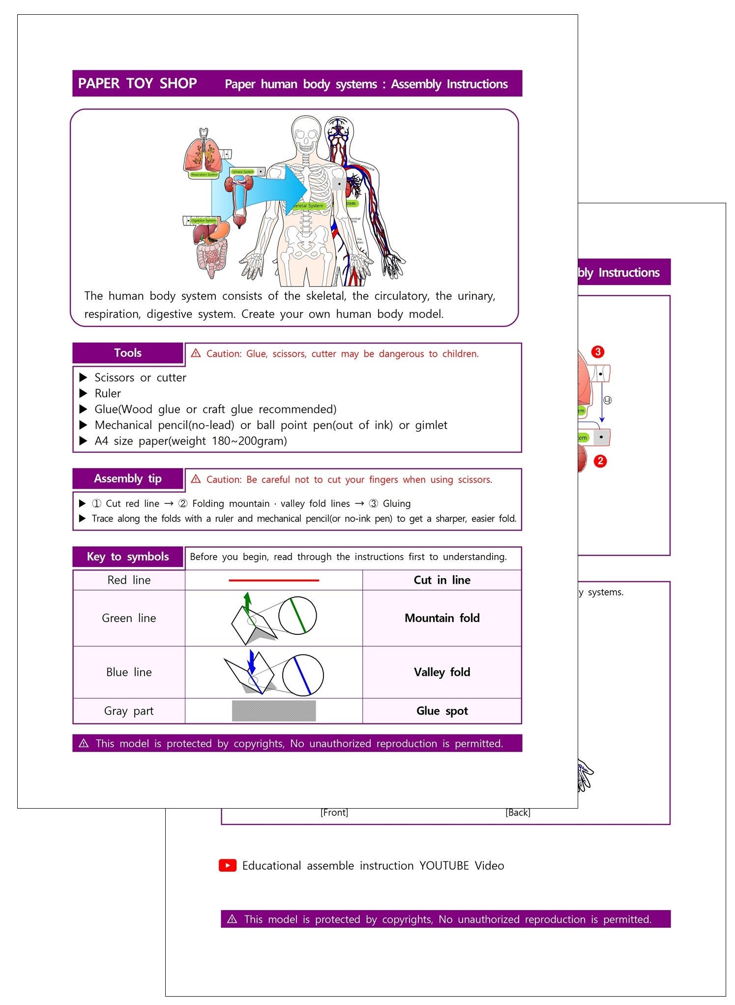 DIY Paper Human Body System Model, Biology Science Activity, Anatomy ...