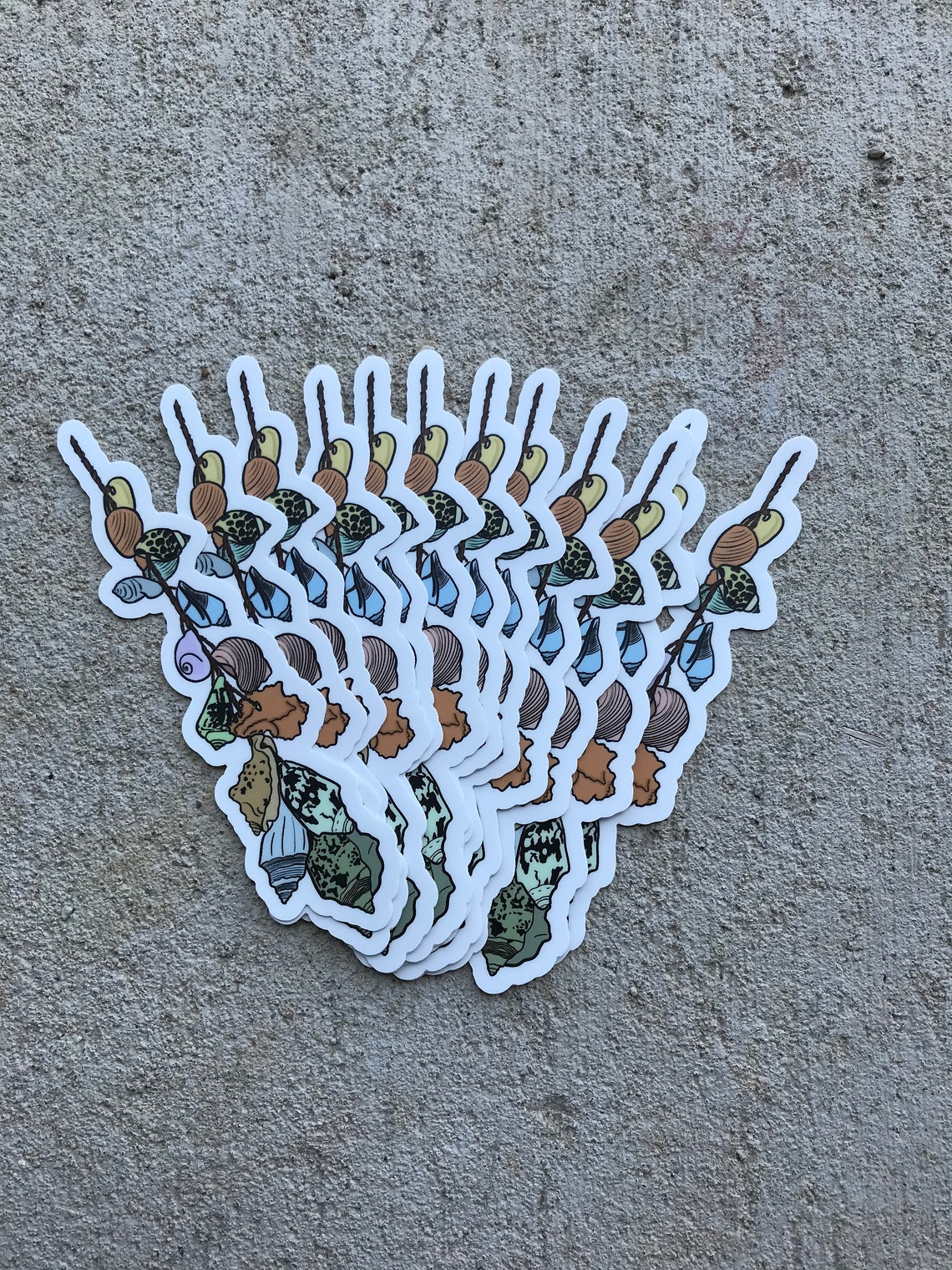 Shell Sticker | Etsy