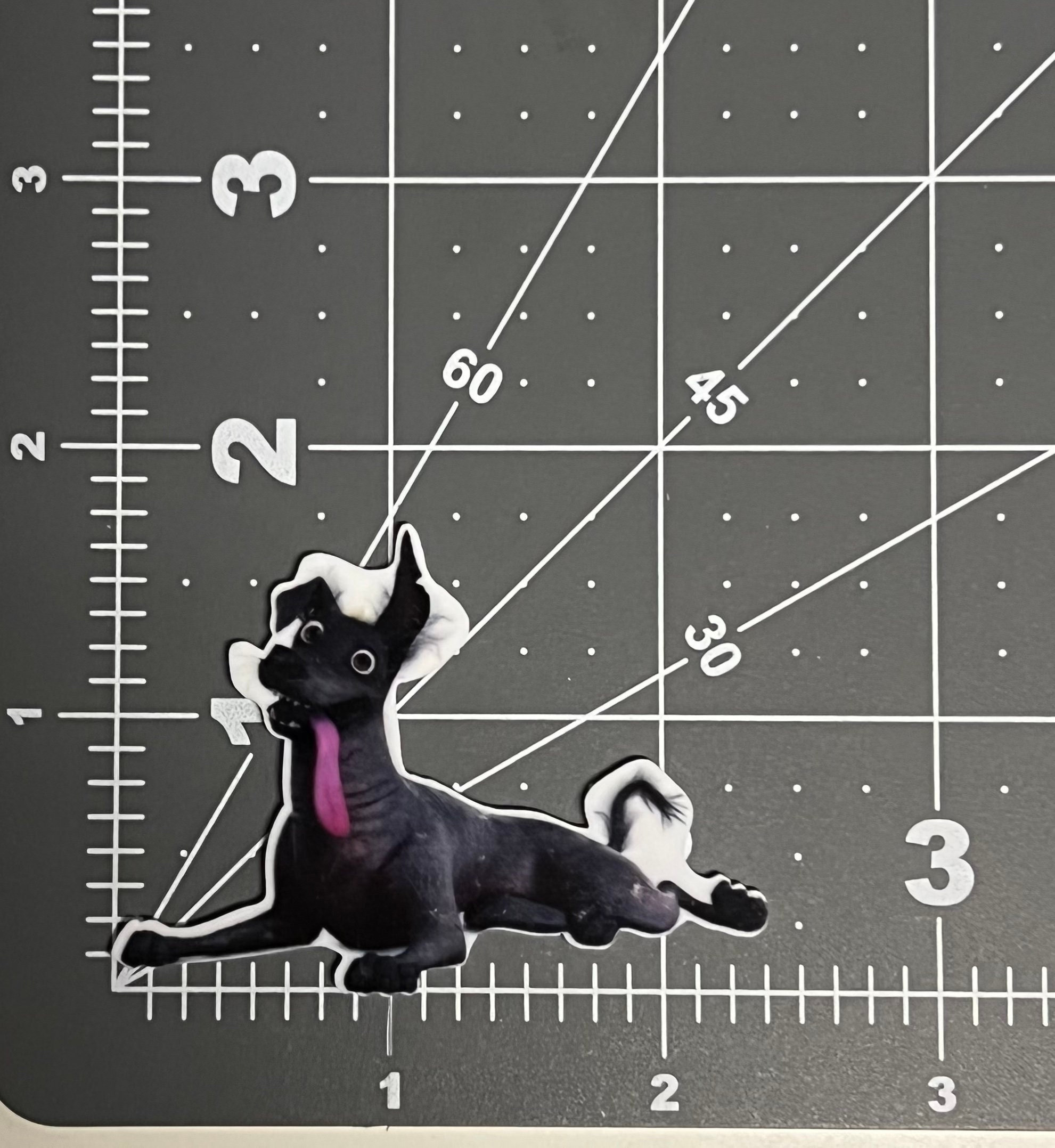 Complete Set of Disney Coco Flat Back Planar Resin El Día De - Etsy