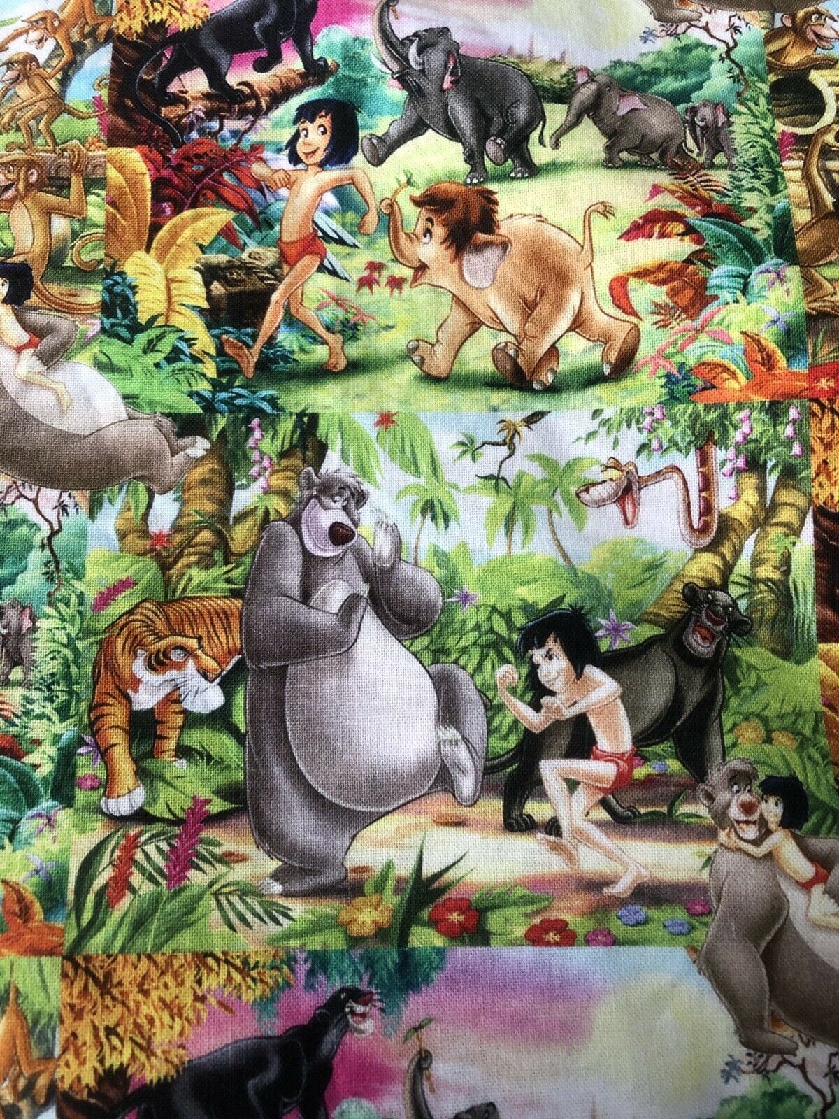 Jungle Book Mowgli And Baloo