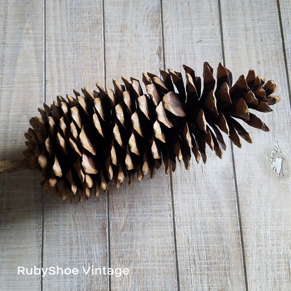 Large Pine Cones - Etsy