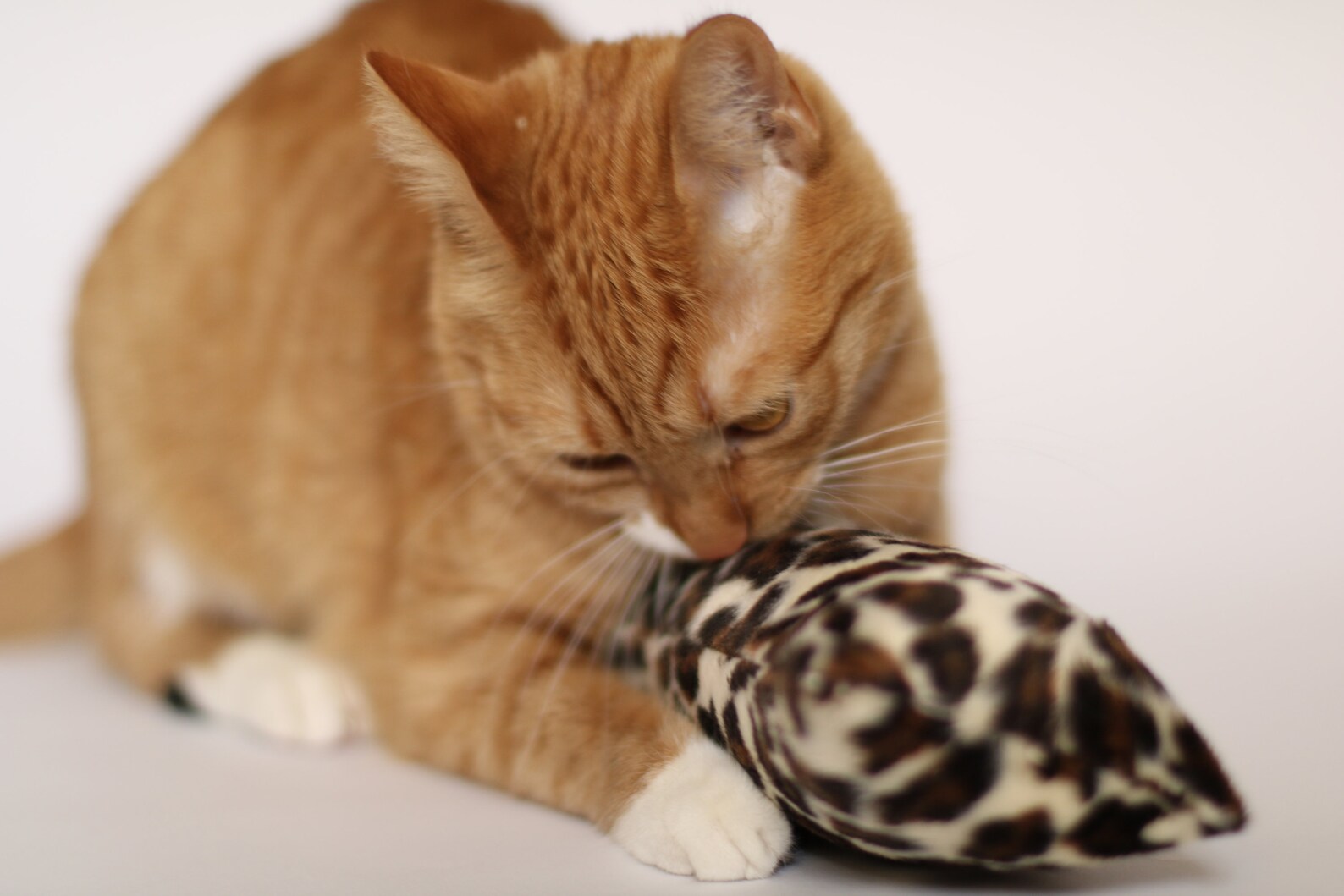 Kicker Toy Very Long Cat Toy Cat Toy With Strings - Etsy