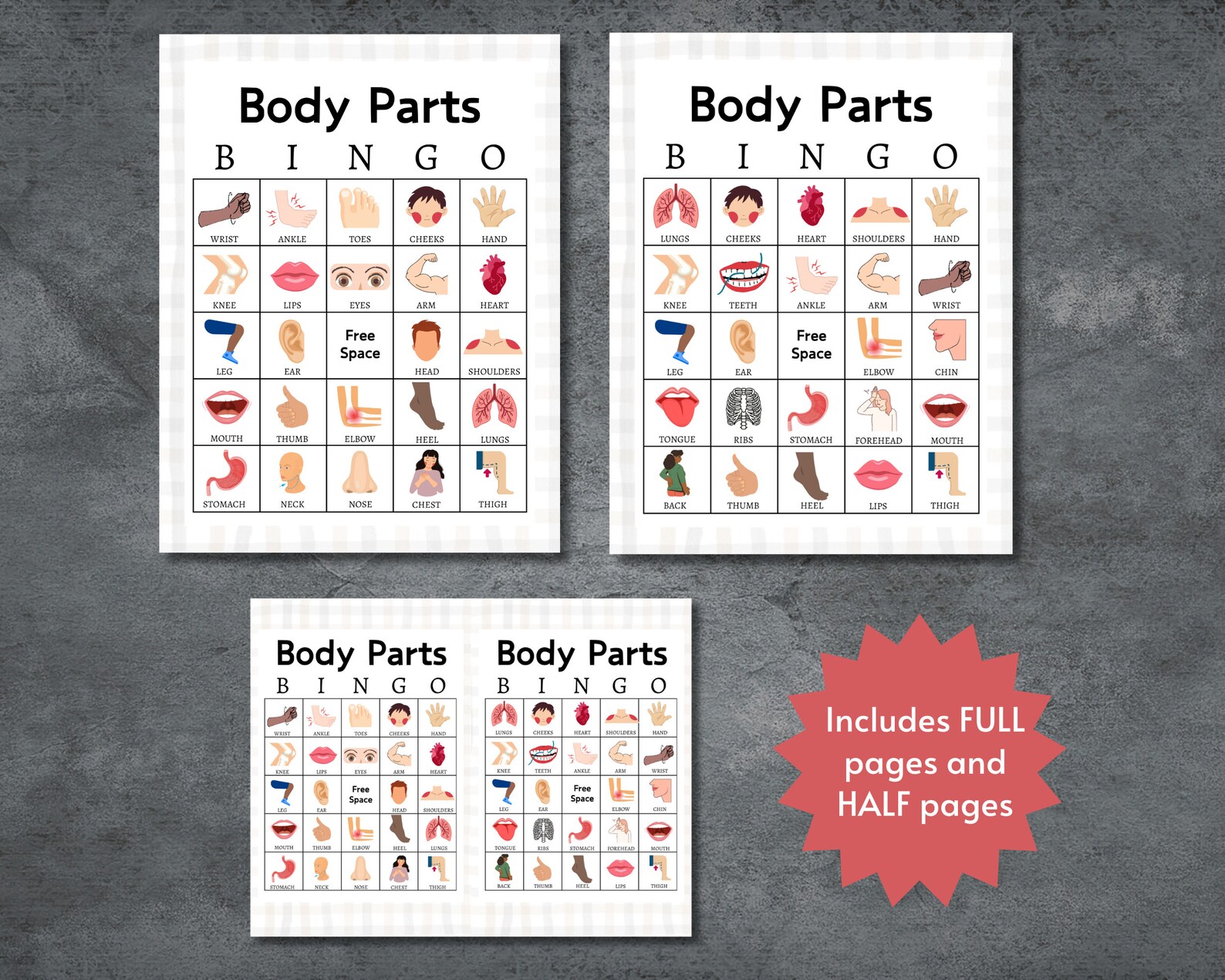 Body Parts Bingo Cards, Printable Human Anatomy Learning Game for Kids ...