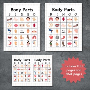 Body Parts Bingo Cards, Printable Human Anatomy Learning Game for Kids ...