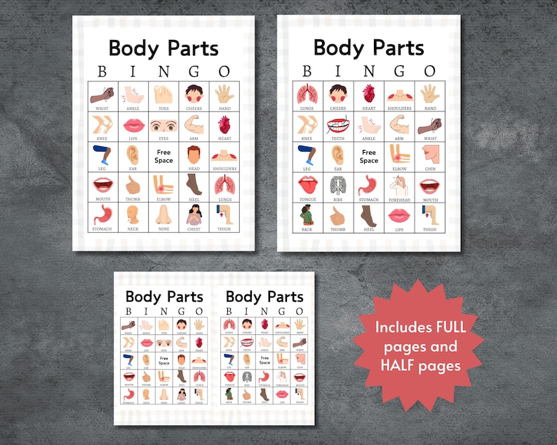 Body Parts Bingo Cards, Printable Human Anatomy Learning Game for Kids ...