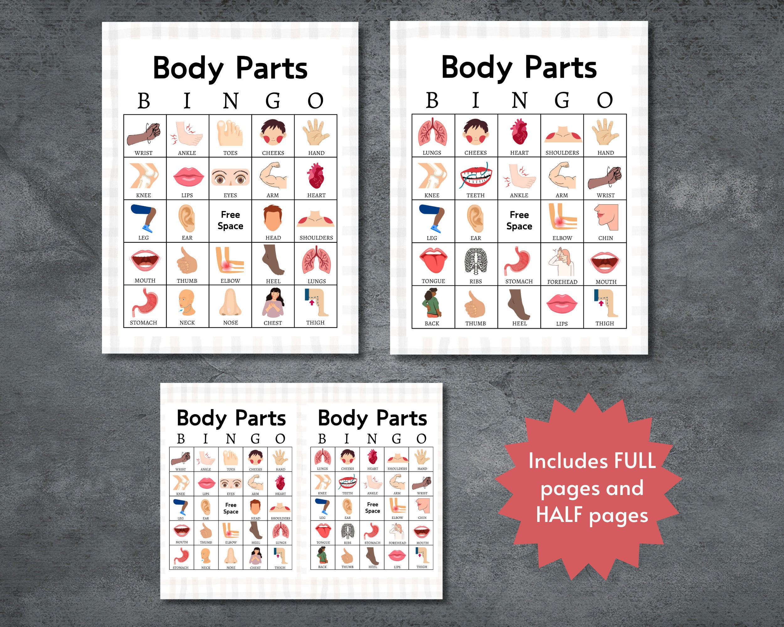 Body Parts Bingo Cards, Printable Human Anatomy Learning Game for Kids ...
