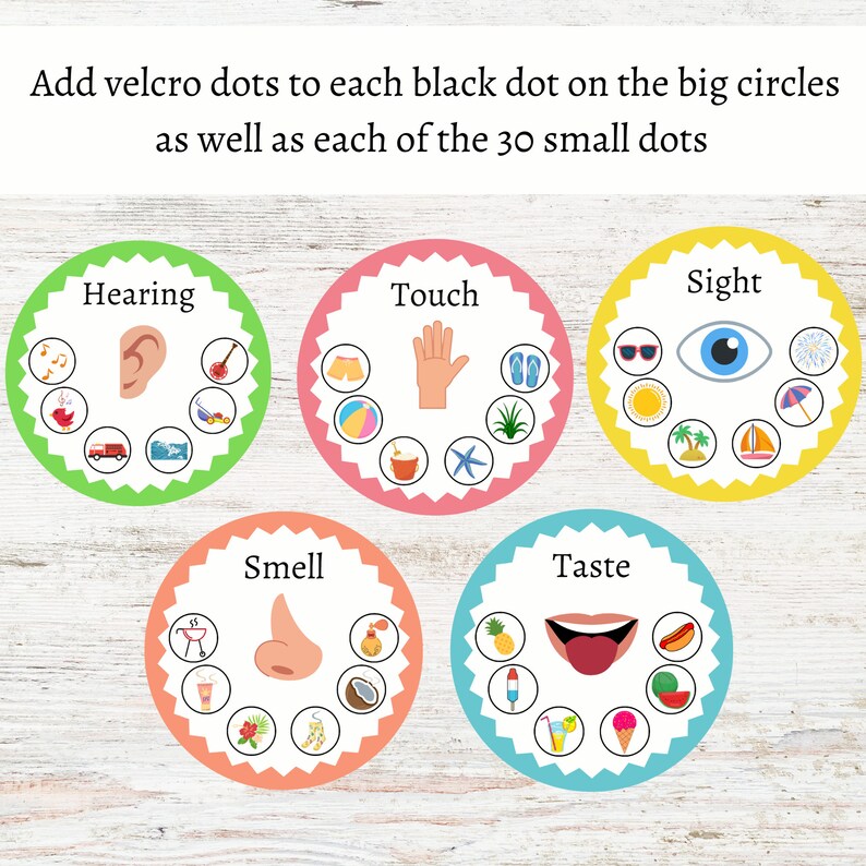 Summer Five Senses Sorting Activity, Printable Preschool Game for ...
