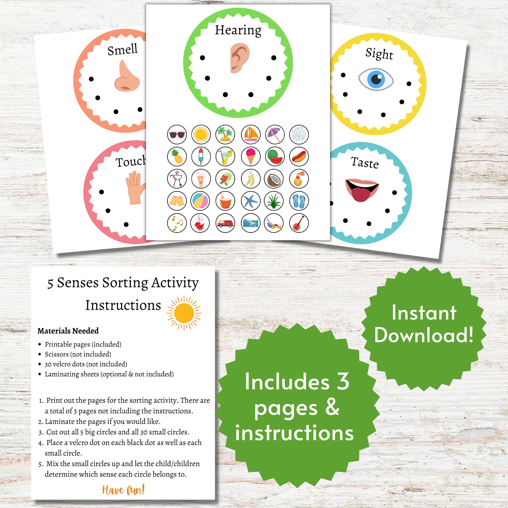 Summer Five Senses Sorting Activity, Printable Preschool Game for ...