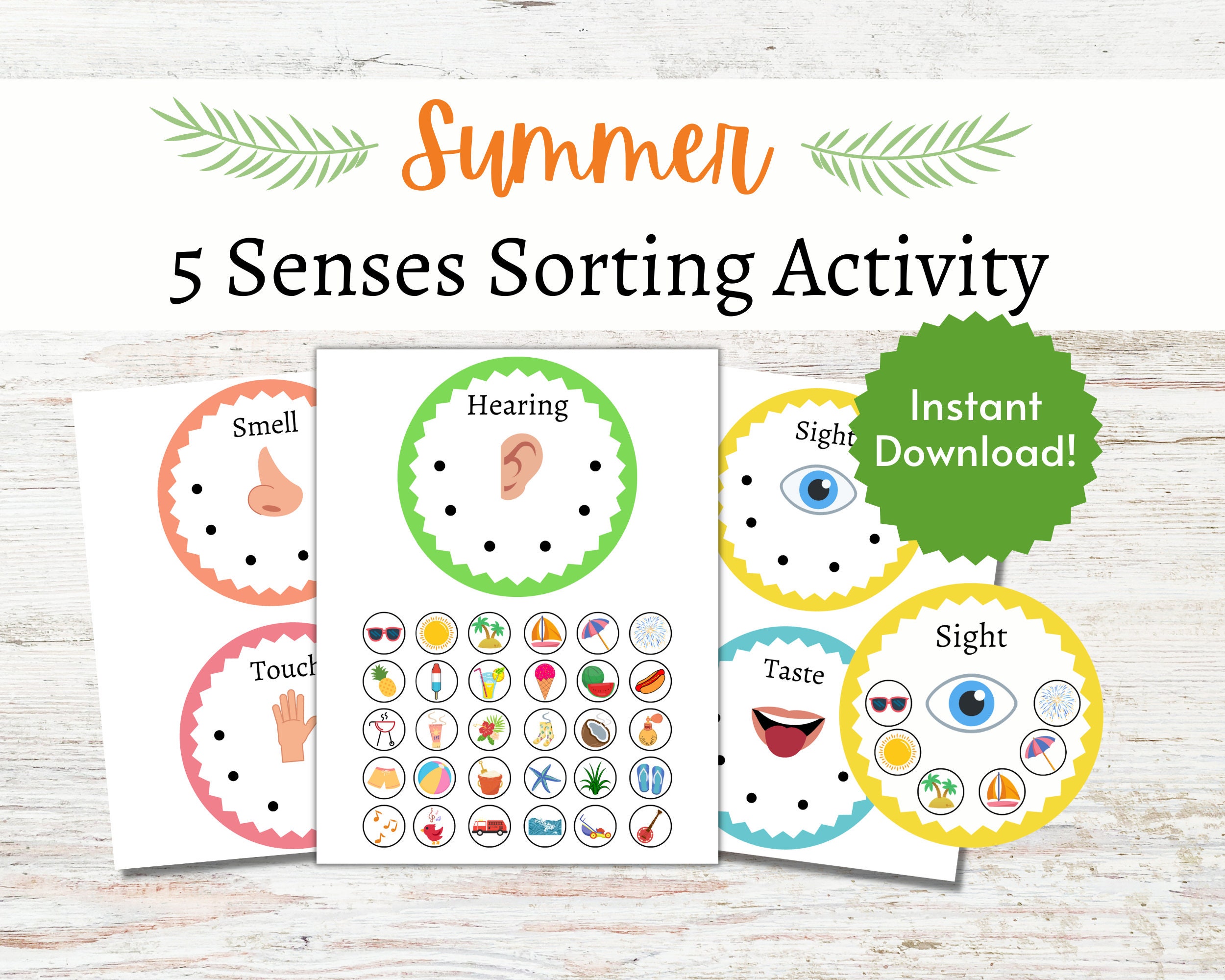 Summer Five Senses Sorting Activity, Printable Preschool Game for ...