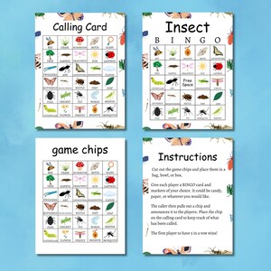 Insect Bingo Cards, Bug-themed Party Game, Printable Insects Learning ...