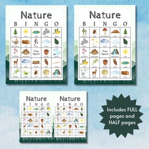 Nature Bingo Cards, Printable Outdoor Activity, Camping Game for Kids ...