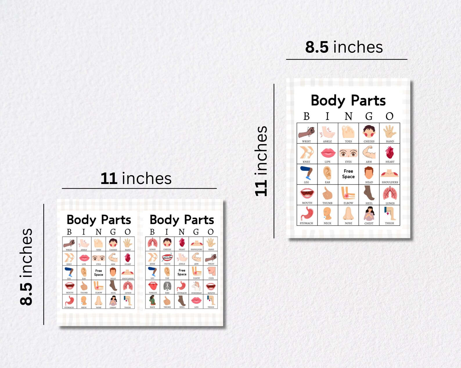 Body Parts Bingo Cards, Printable Human Anatomy Learning Game for Kids ...