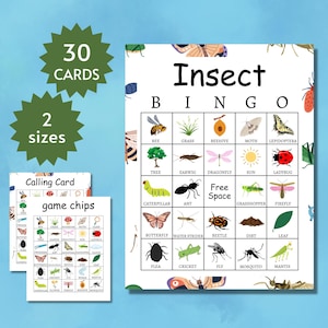 Insect Bingo Cards, Bug-themed Party Game, Printable Insects Learning ...