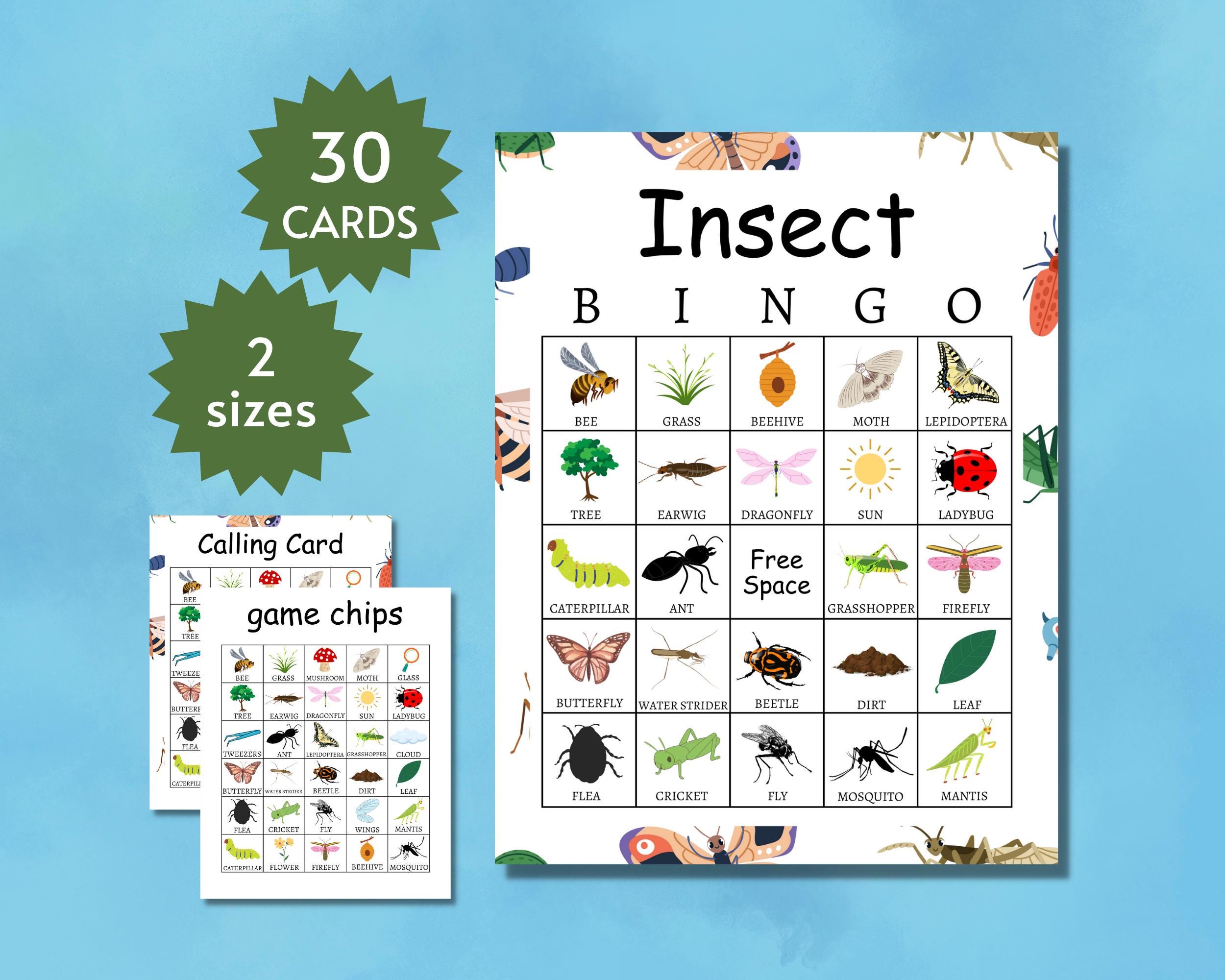 Insect Bingo Cards, Bug-themed Party Game, Printable Insects Learning ...