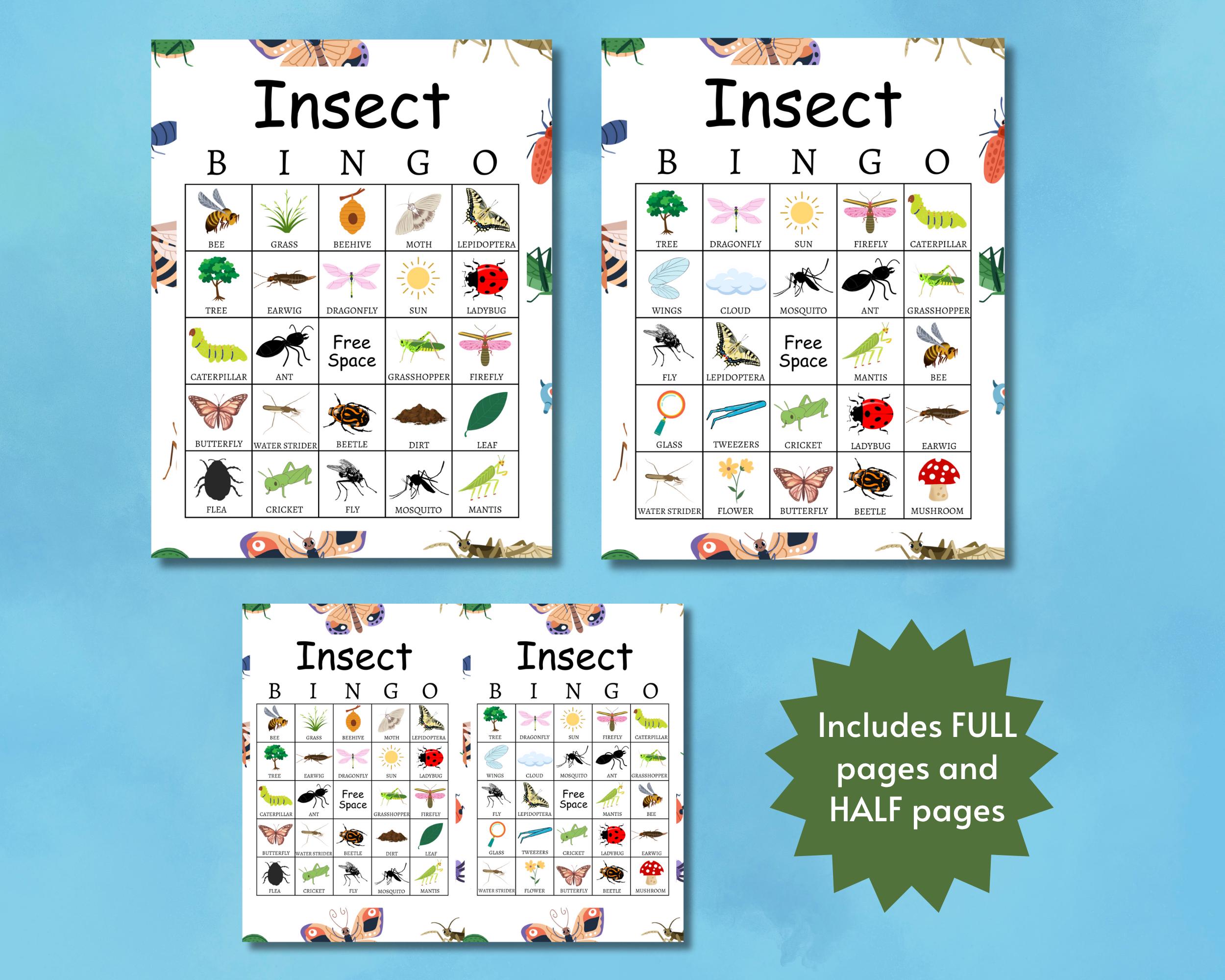 Insect Bingo Cards, Bug-themed Party Game, Printable Insects Learning ...