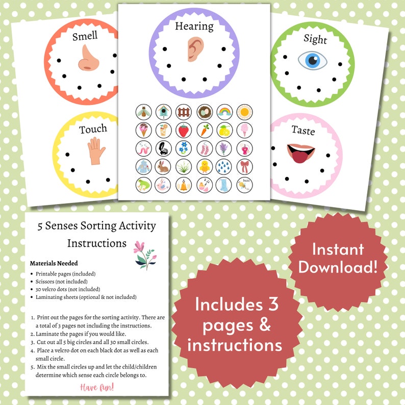 Spring Five Senses Sorting Activity for Kids, Printable Springtime ...