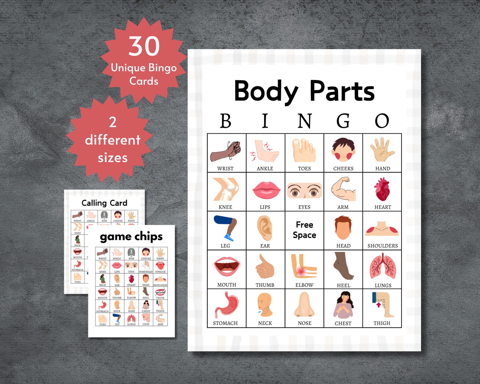 Body Parts Bingo Cards, Printable Human Anatomy Learning Game for Kids ...