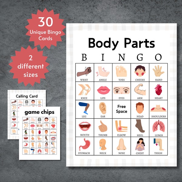 Human Body Kids - Etsy