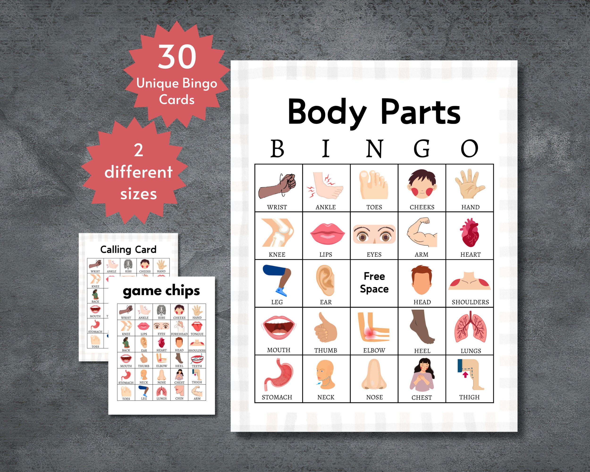 Body Parts Bingo Cards, Printable Human Anatomy Learning Game for Kids ...
