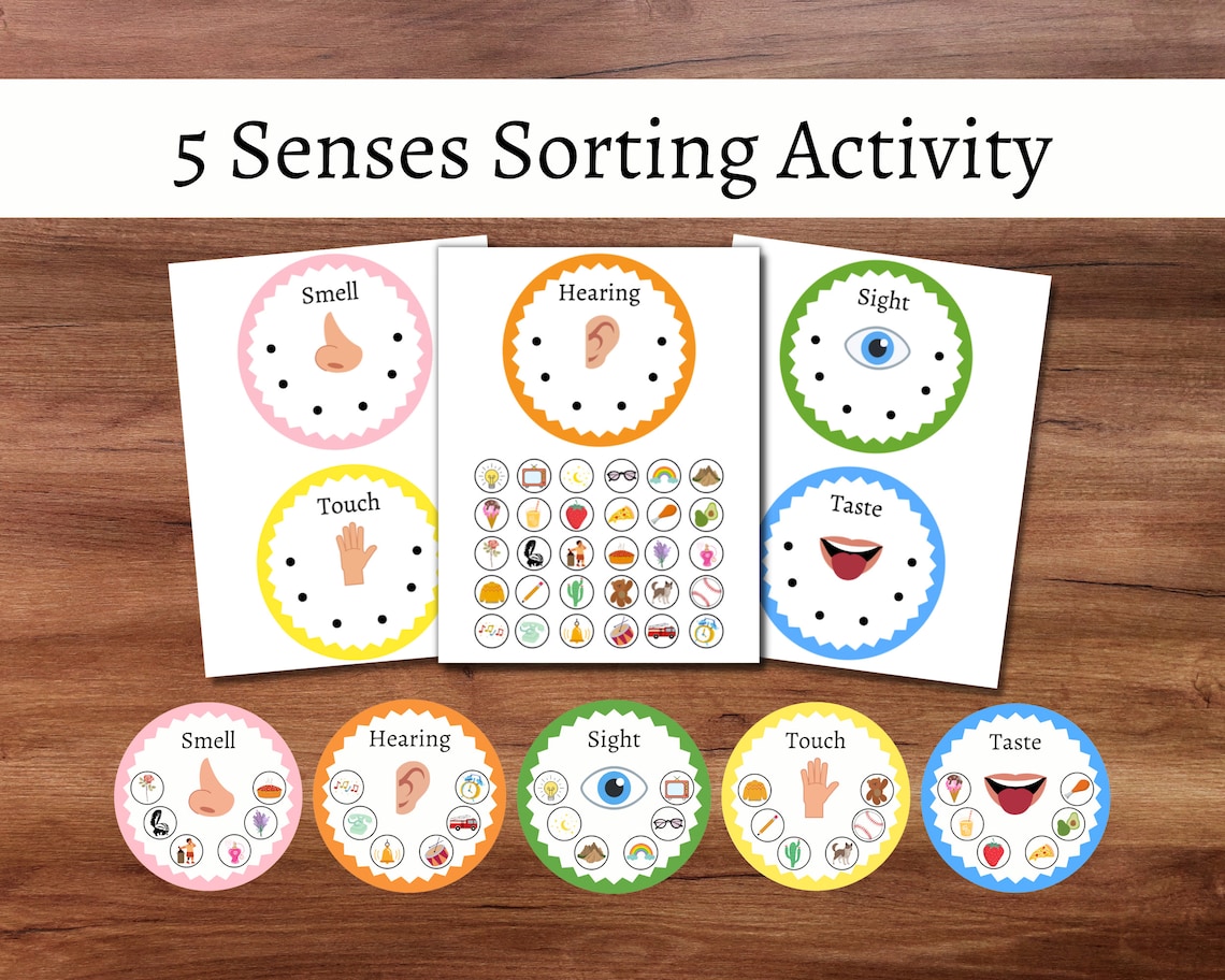 Five Senses Sorting Activity, 5 Senses Activity, Printable Five Senses ...
