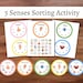 Five Senses Sorting Activity, 5 Senses Learning Game for Kids ...