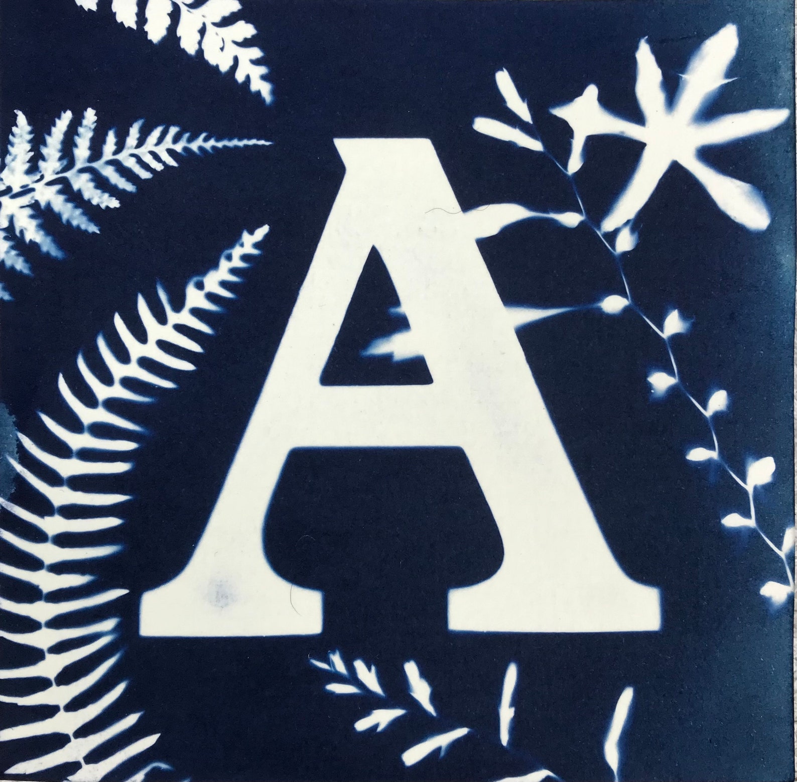 Personalised Unique Cyanotype Monogram - Etsy UK