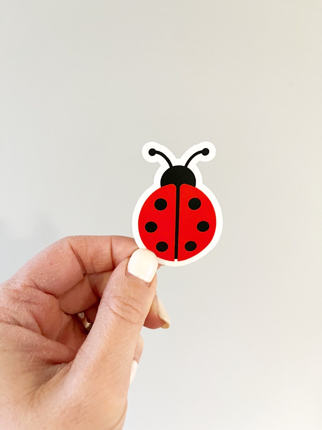 Lady Bug Sticker, Bug Stickers, Ladybug Art, Lady Bug Gifts, Stickers ...