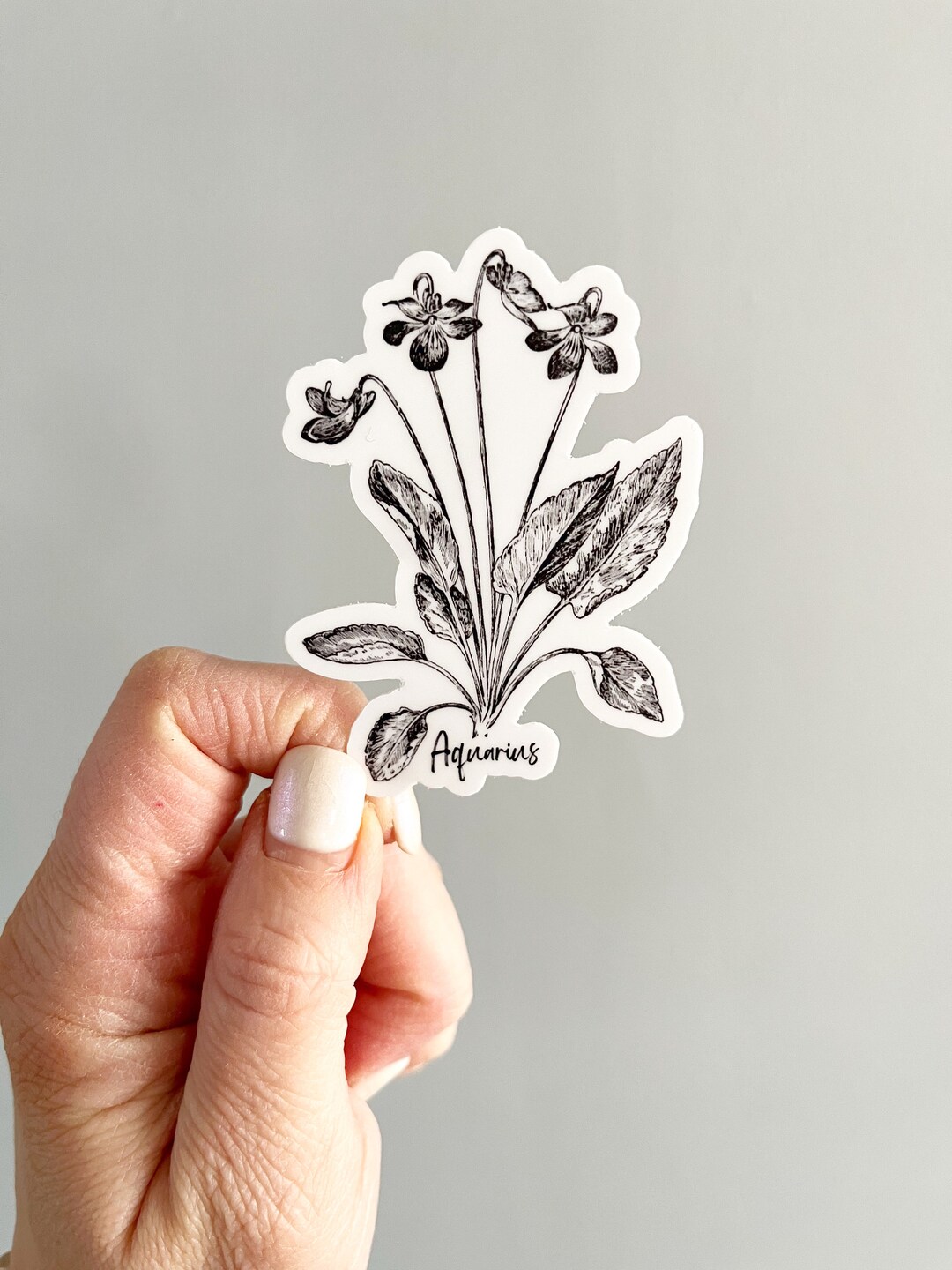 Aquarius Sticker, Zodiac Sign, Zodiac Sign Sticker, Astrology Sticker ...