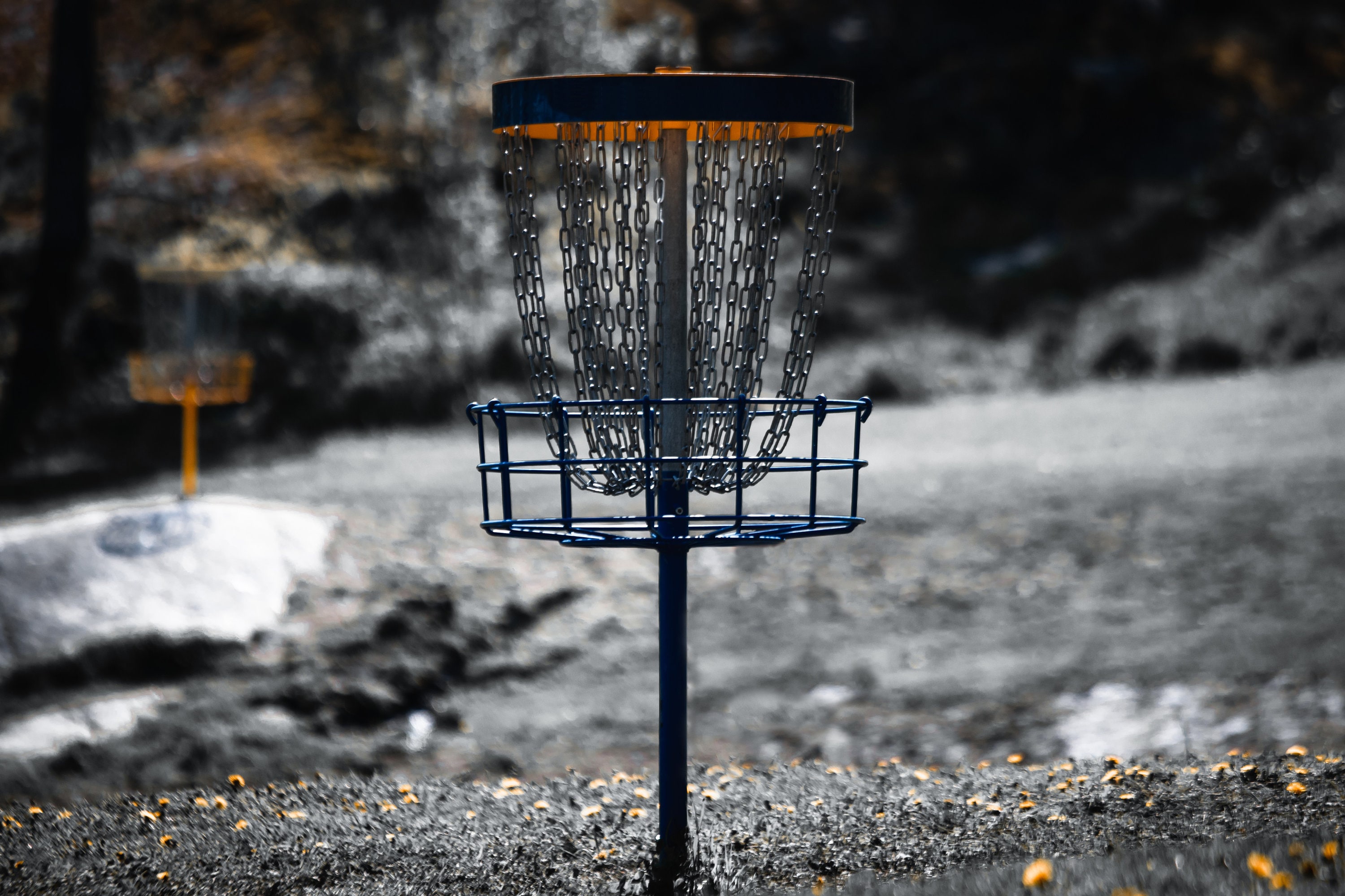 Disc Golf Basket Wallpaper