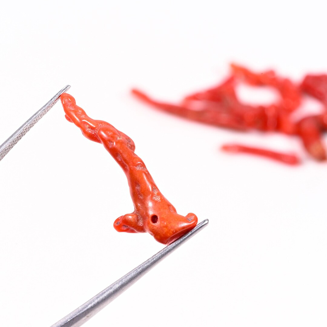 Unique 10 Pieces Natural Red Coral Rough, Branches Tree Raw Coral ...