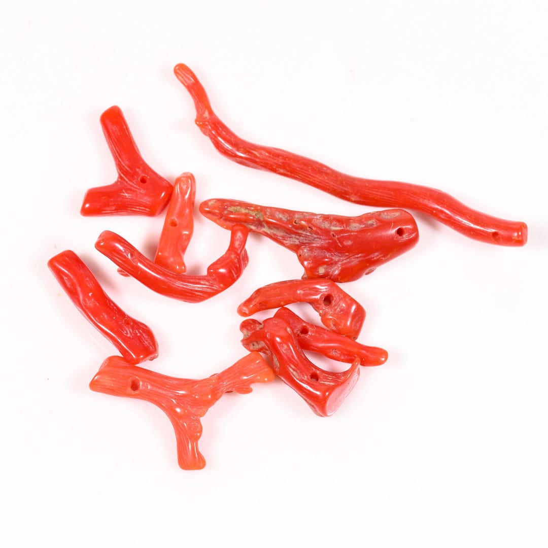 Genuine Natural Precious Red Coral Branch Earring Bead,unique Tree Raw ...