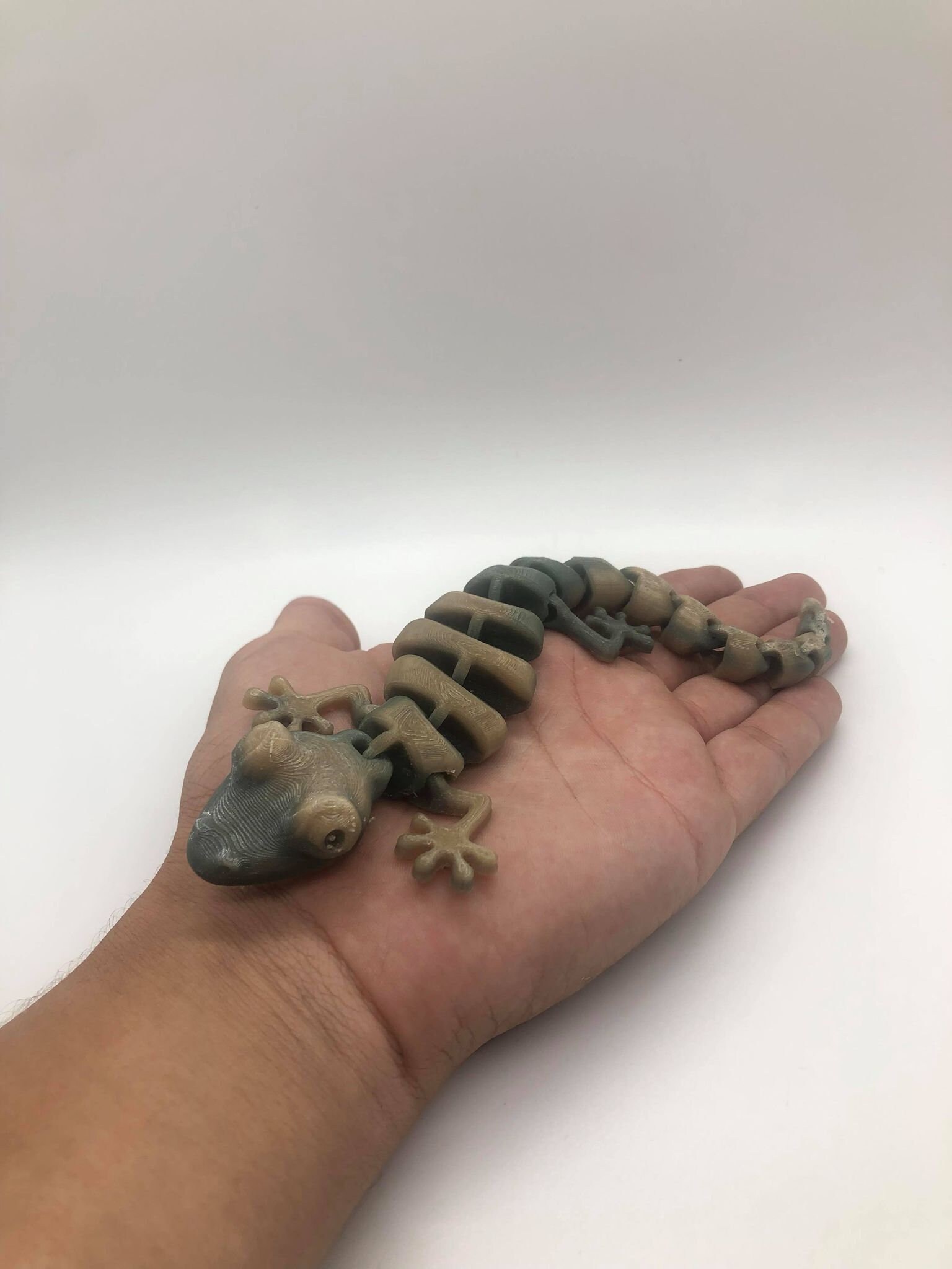 Flexible Lizard Fidget Toy - Etsy