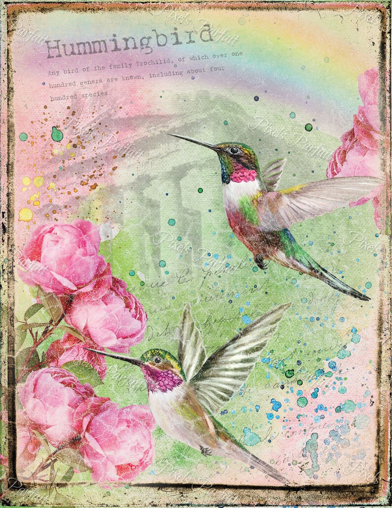 Vintage Hummingbird Instant Printable Papers for Junk Journal | Etsy
