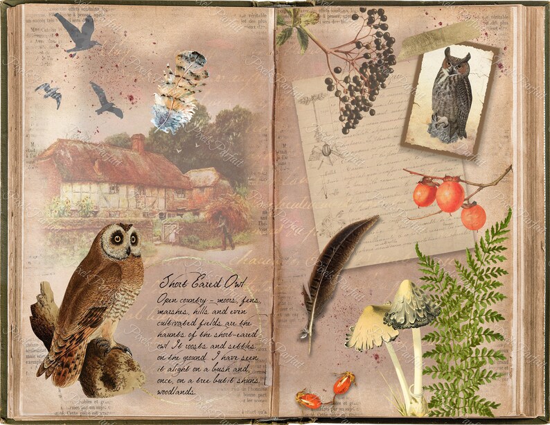 Vintage Forest Owls Fall Junk Journal Kit Nature Journal | Etsy