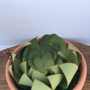 Paper Succulents Set of 6: Handmade Party & Wedding Favors - Etsy