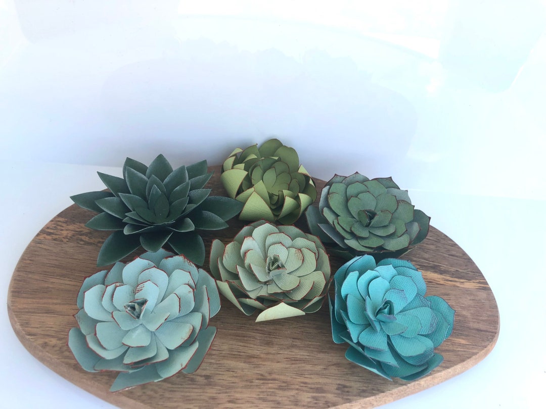 Paper Succulents Set of 6: Handmade Party & Wedding Favors - Etsy