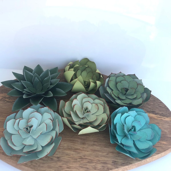 Paper Succulent - Etsy