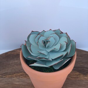 Paper Succulents Set of 6: Handmade Party & Wedding Favors - Etsy