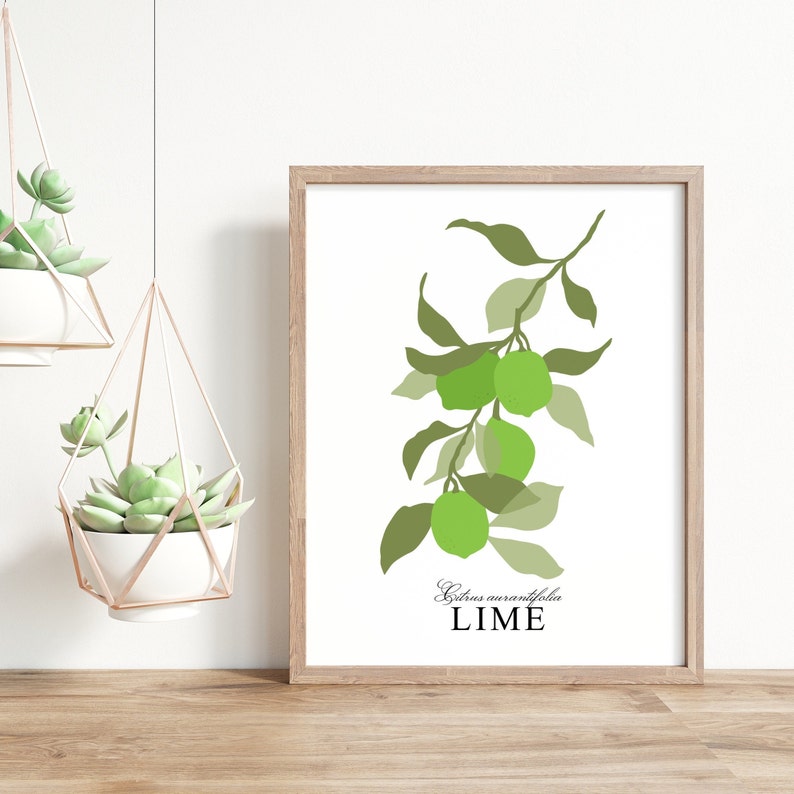 Lime Art Printable: Minimal Kitchen Wall Decor Print, Citrus Fruit ...