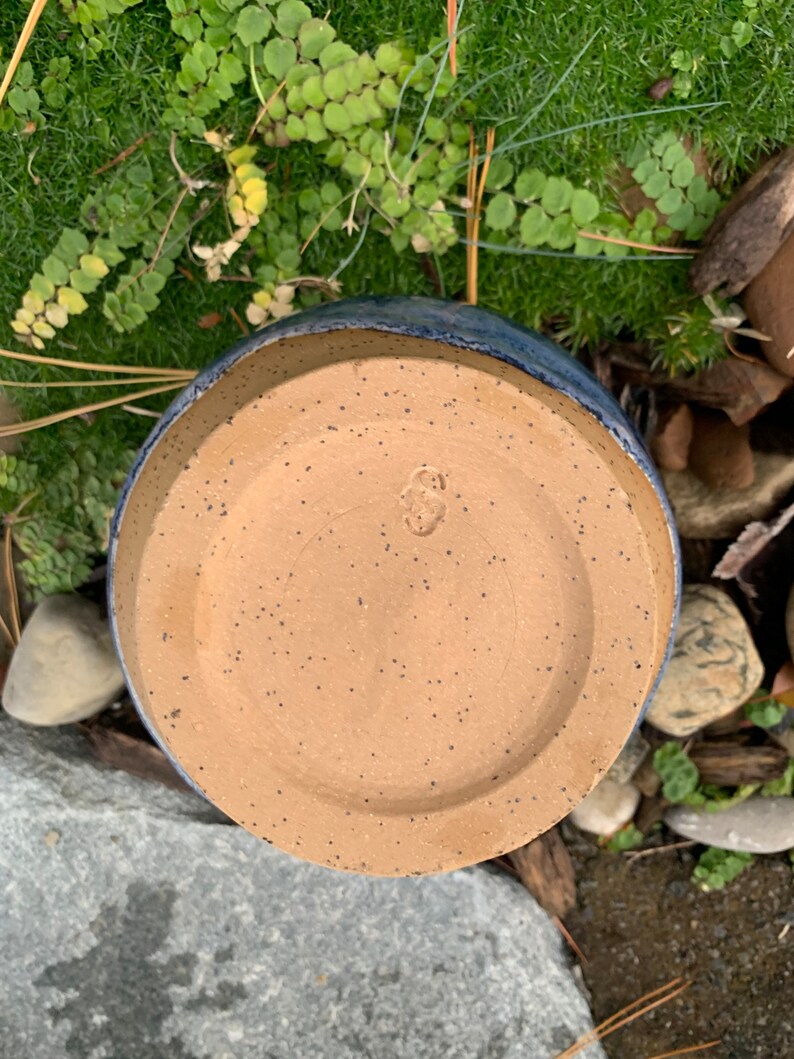 Handmade Pottery Succulent Planter / Sally Schramm Pottery - Etsy