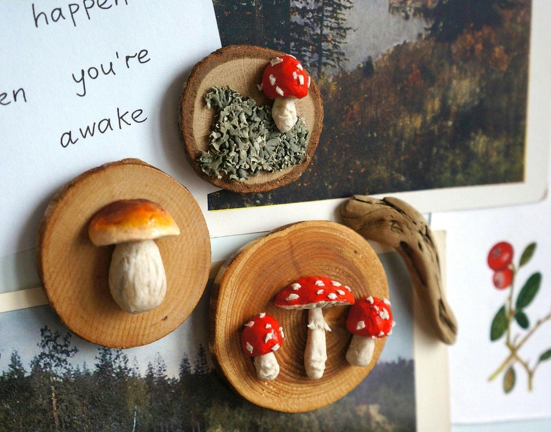 Woodland Mushroom Magnets: Hand Sculpted Fridge Decor, Set of 3 - Etsy