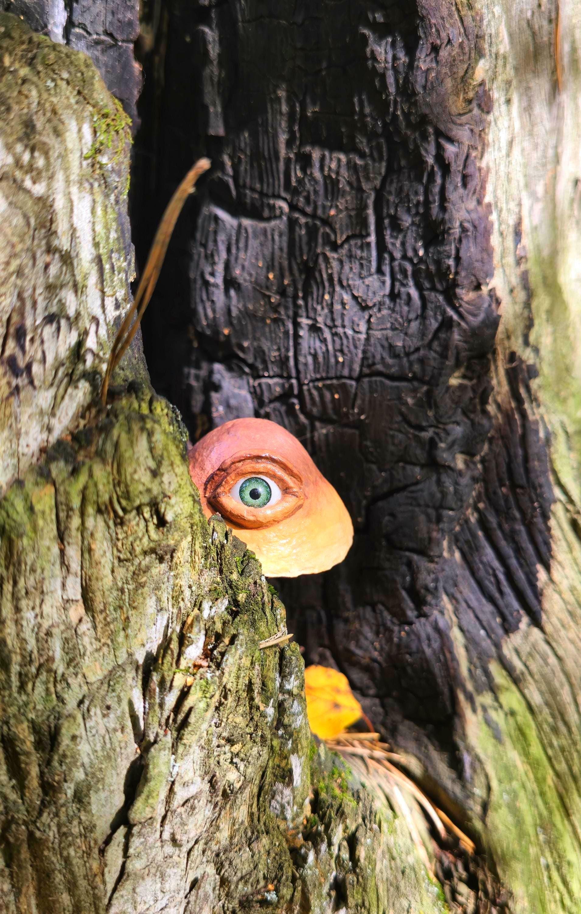 Weird Stalker Mushroom Figurine Third Eye Spooky Fungi Mycologist ...