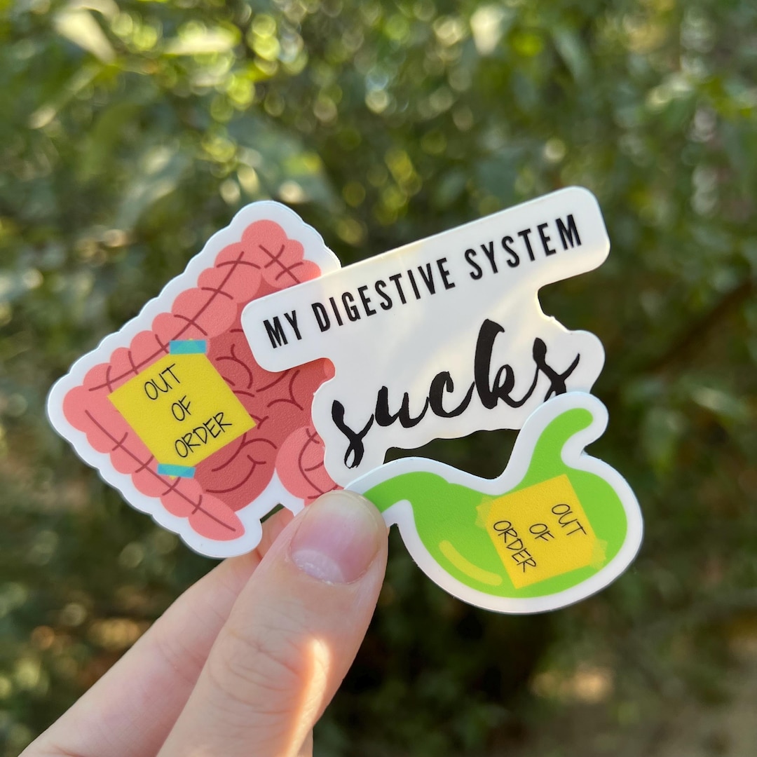 Digestive System Stickers, Chronic Illness Stickers, Gastroparesis and ...