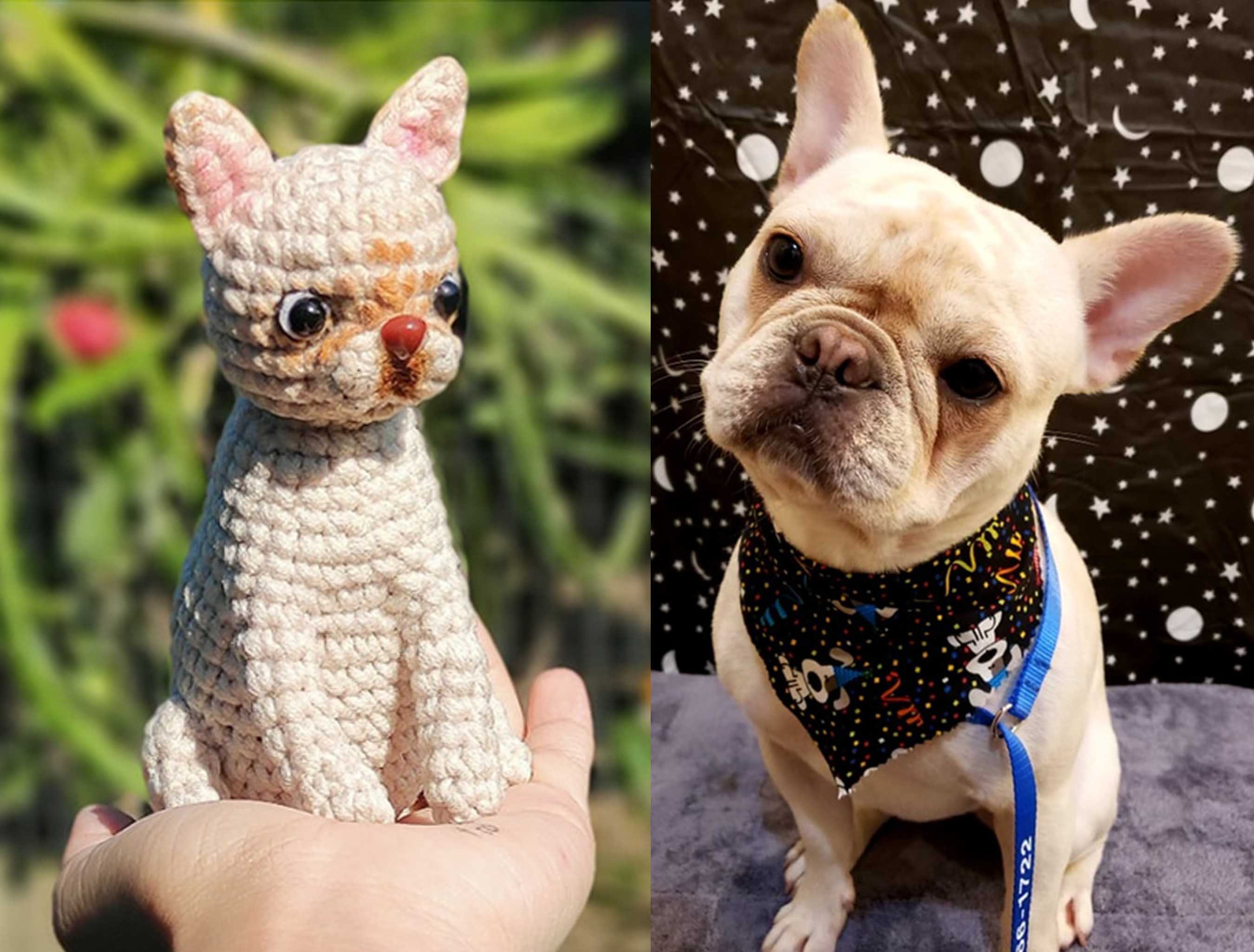 Custom Crochet Cat Stuffed Cat Look Alike Pet Doll Crochet - Etsy