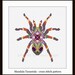 Mandala Tarantula, Cross Stitch Pattern, Cross Stitch Embroidery ...