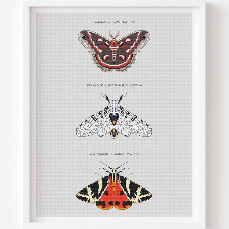 Cecropia Moth Pattern - Etsy