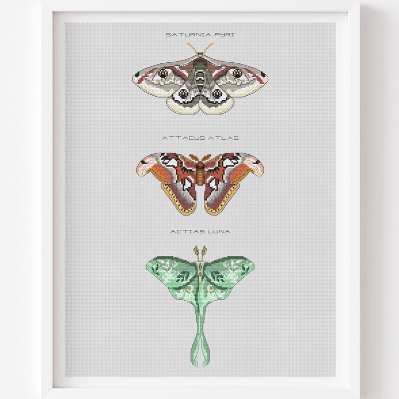 Insect in Land - Etsy UK