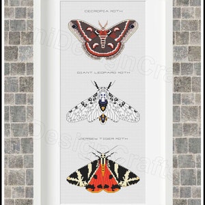 3 Moths 2 Cross Stitch Pattern Cecropia Moth Giant Leopard Moth Jersey ...