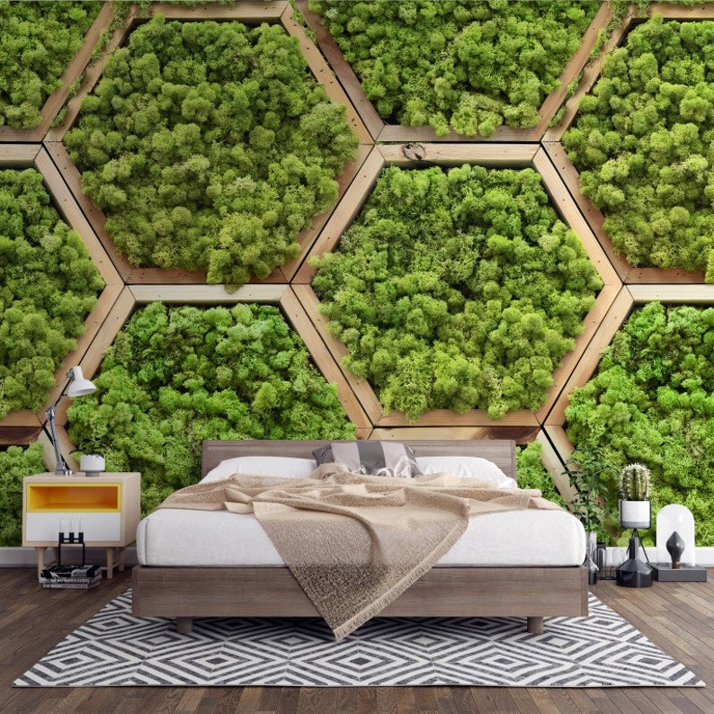Amazon Forests Wallpaper Hexagon Shapes Wall Decor the Most - Etsy