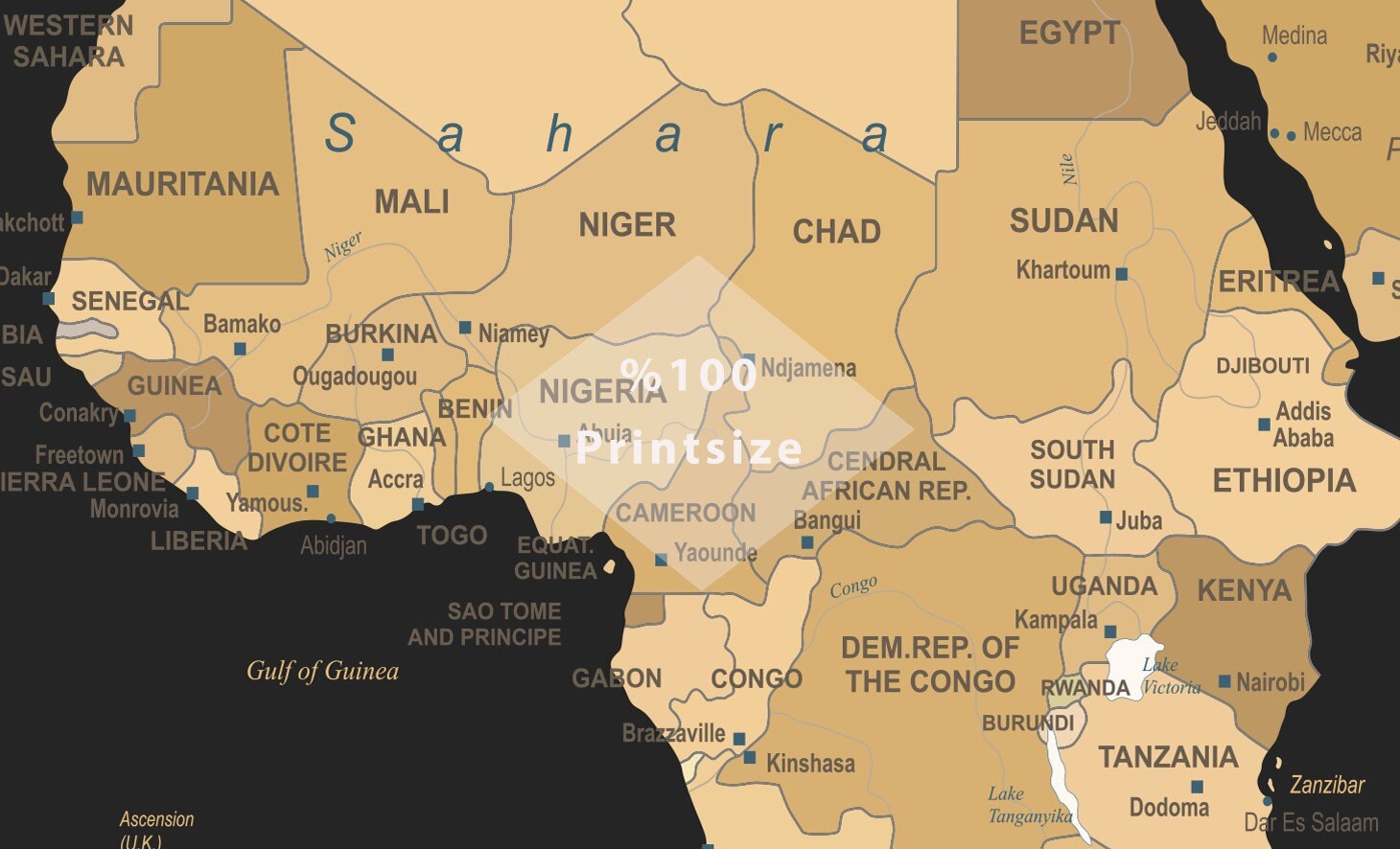 World Map Wallpaper / Cream Color Wallpaper / Dark Wallpaper / | Etsy